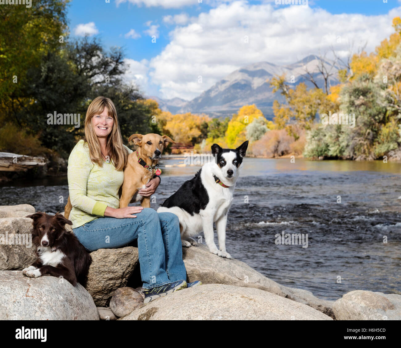 Outdoor portrait of attractive woman with her three dogs alongside the ...