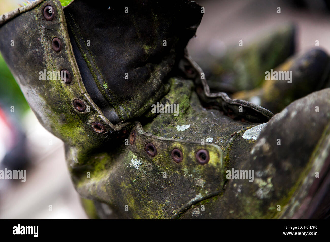 Old army boots serving as planters Stock Photo - Alamy