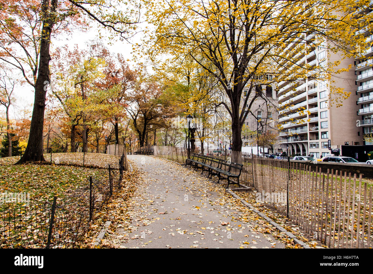 Pedestrian path in Central Park, Manhattan Stock Photo - Alamy