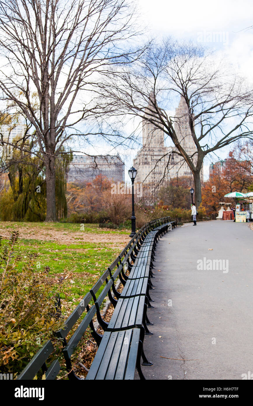 Empty benches on the side of a pedestrian asphalt path in Central Park ...