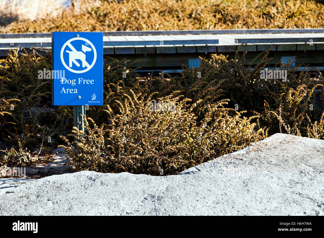 Sign in a park depicting it is a dog free area Stock Photo - Alamy