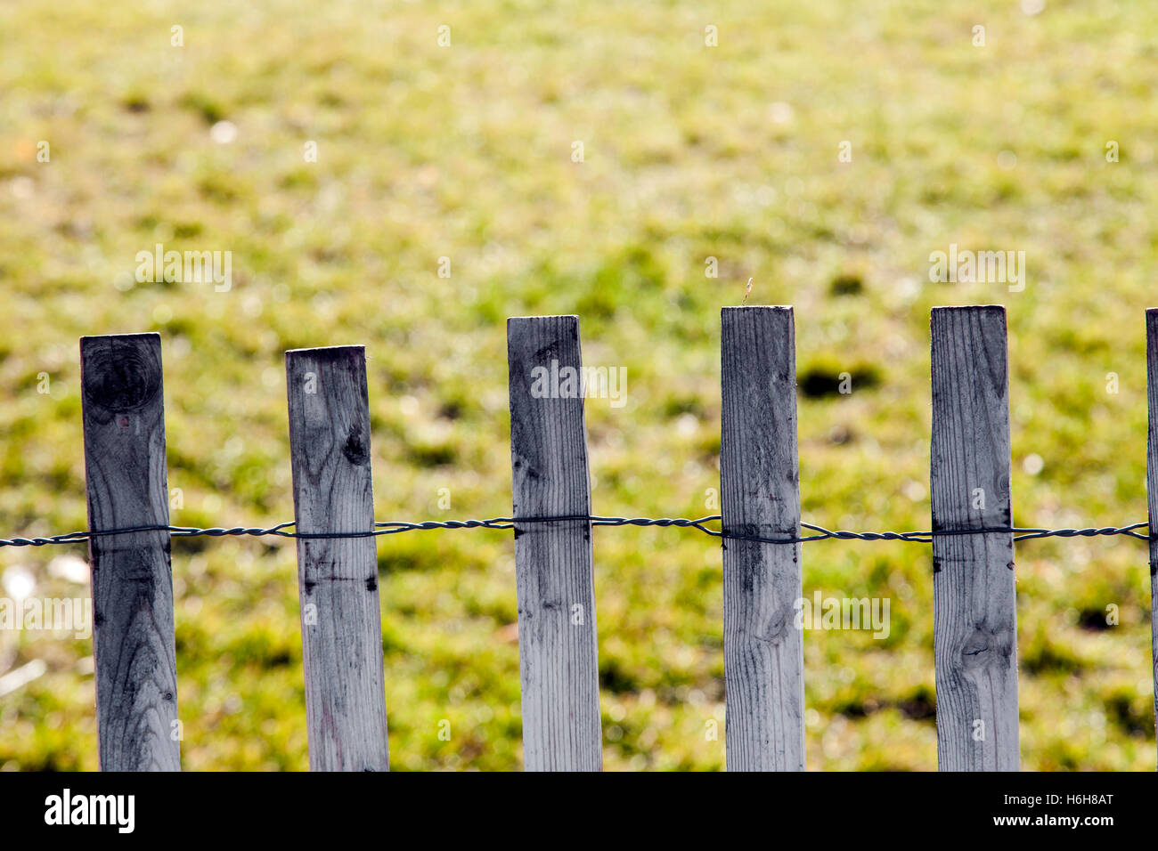 Fence made of thin wooden beams against background of green grass lawn ...
