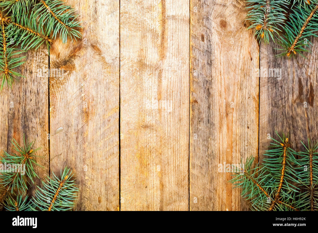 Furry spruce branch hi-res stock photography and images - Alamy