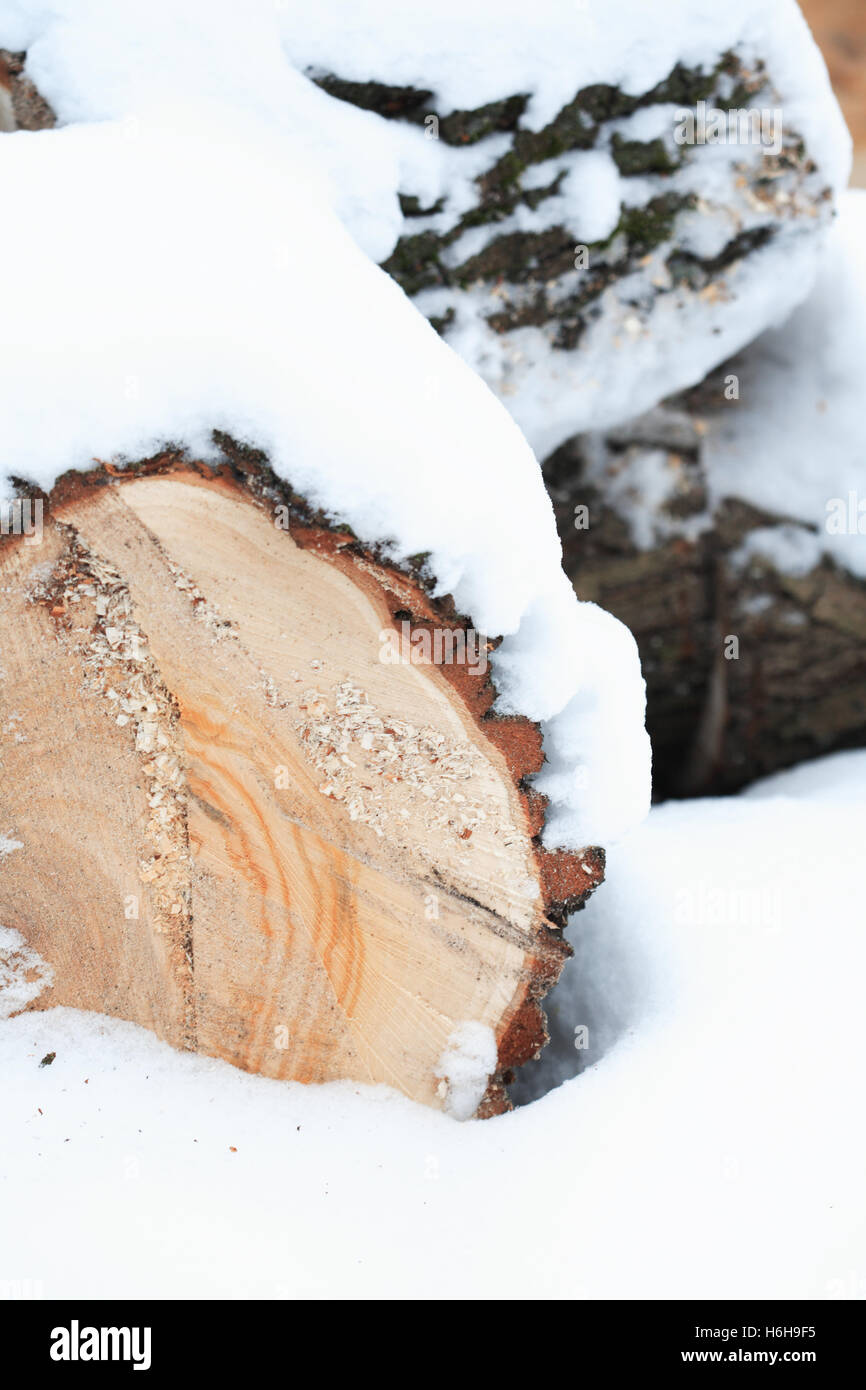 Converted timber hi-res stock photography and images - Alamy