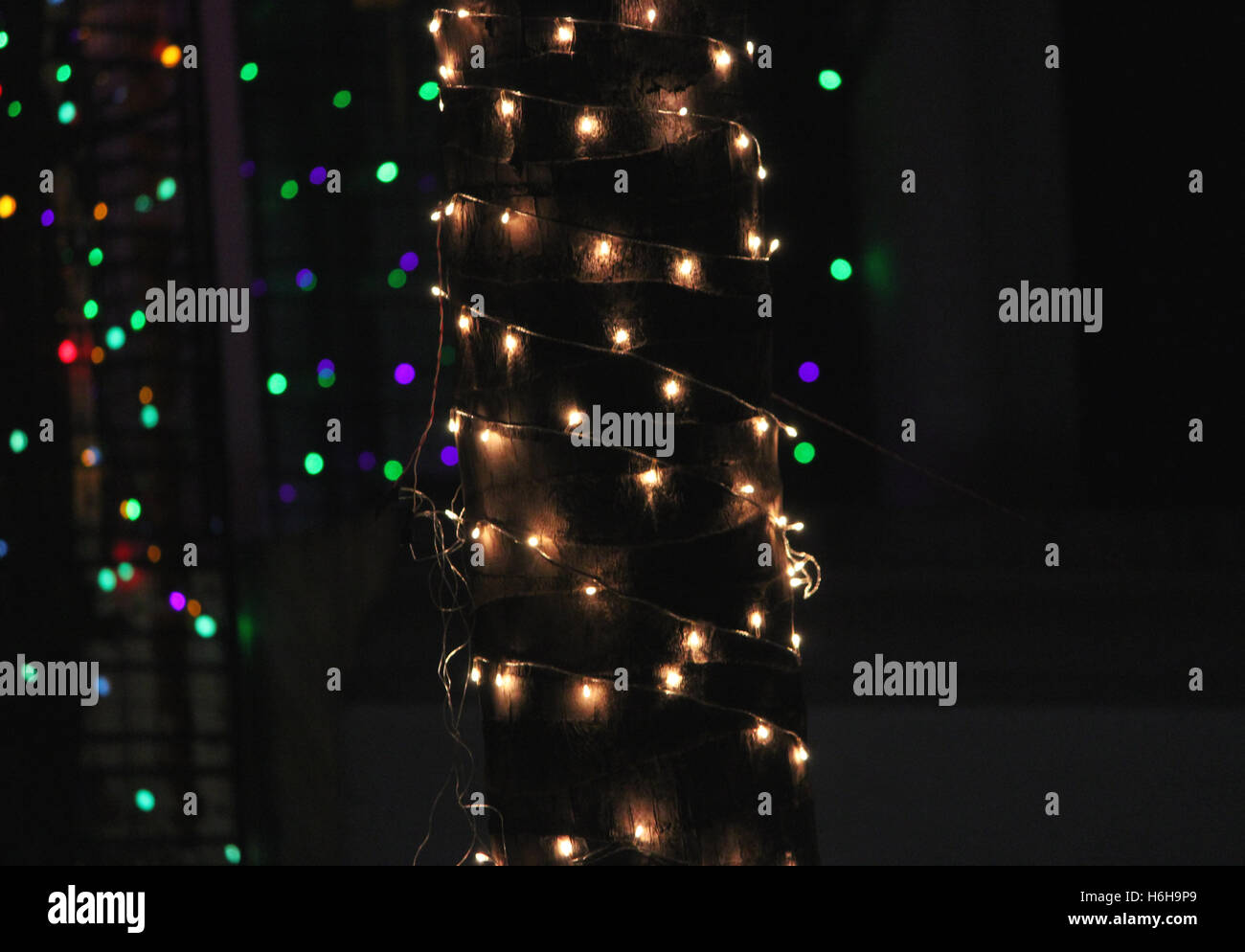 Tree lighting hi-res stock photography and images - Alamy