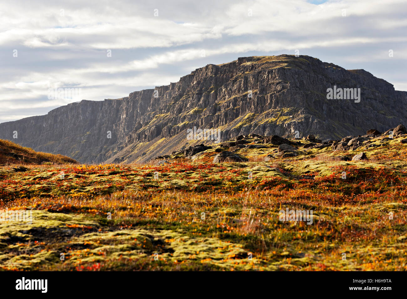 Mountain in volcanic autumn landscape, Westfjords, Iceland, North ...
