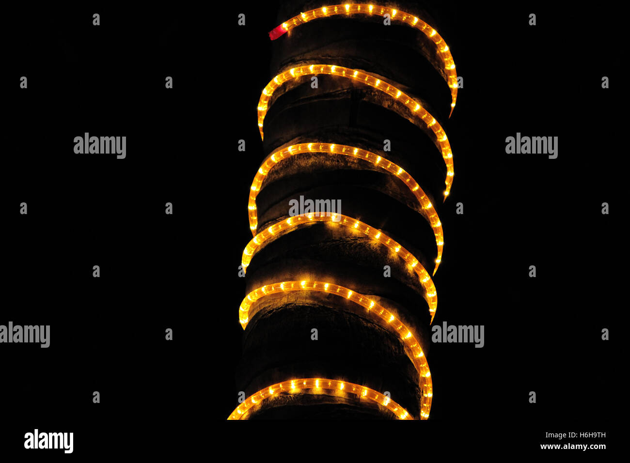 Tree lighting hi-res stock photography and images - Alamy
