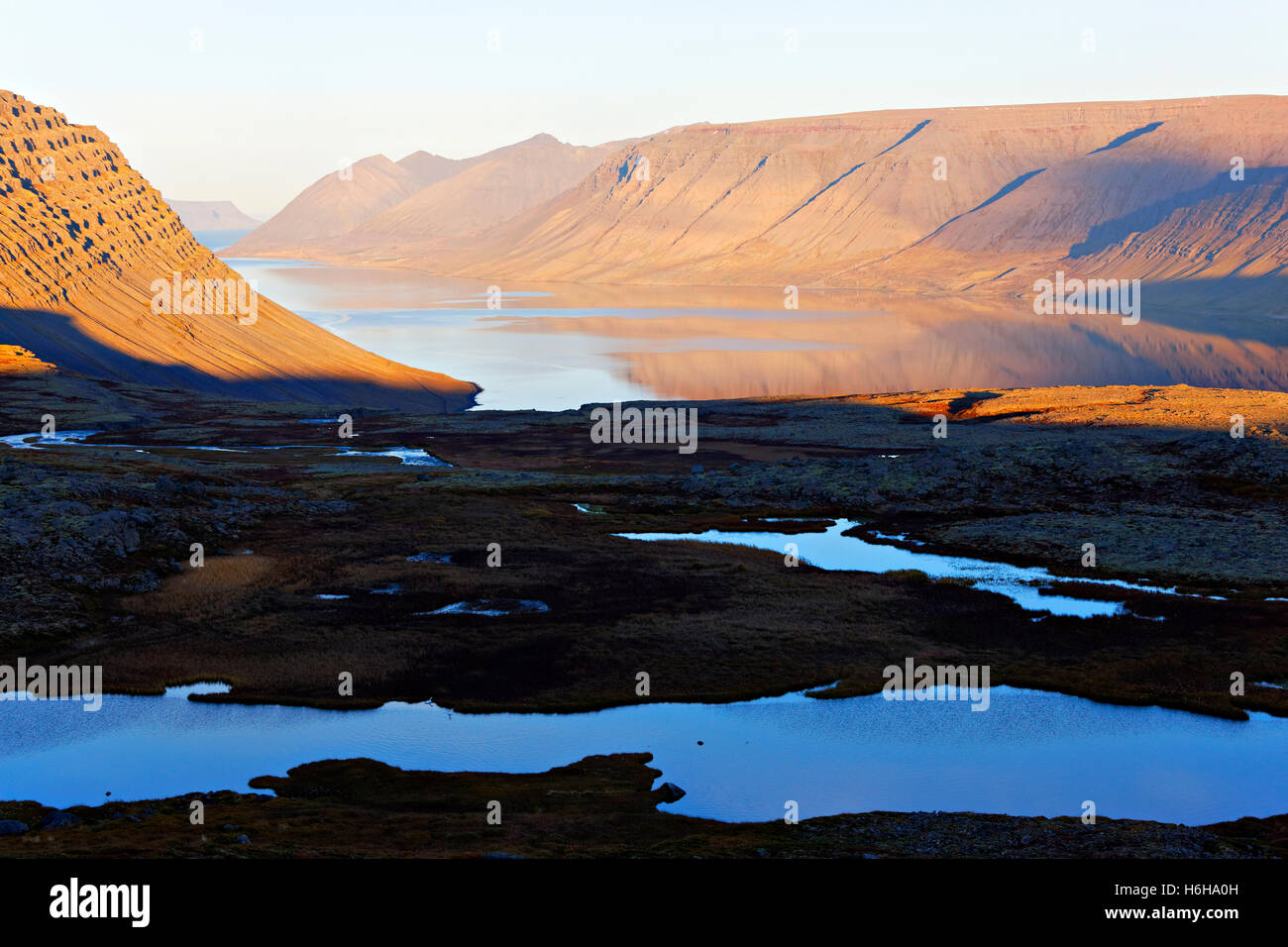 Fjord landscape in morning light, Westfjords, Iceland, North Atlantic ...