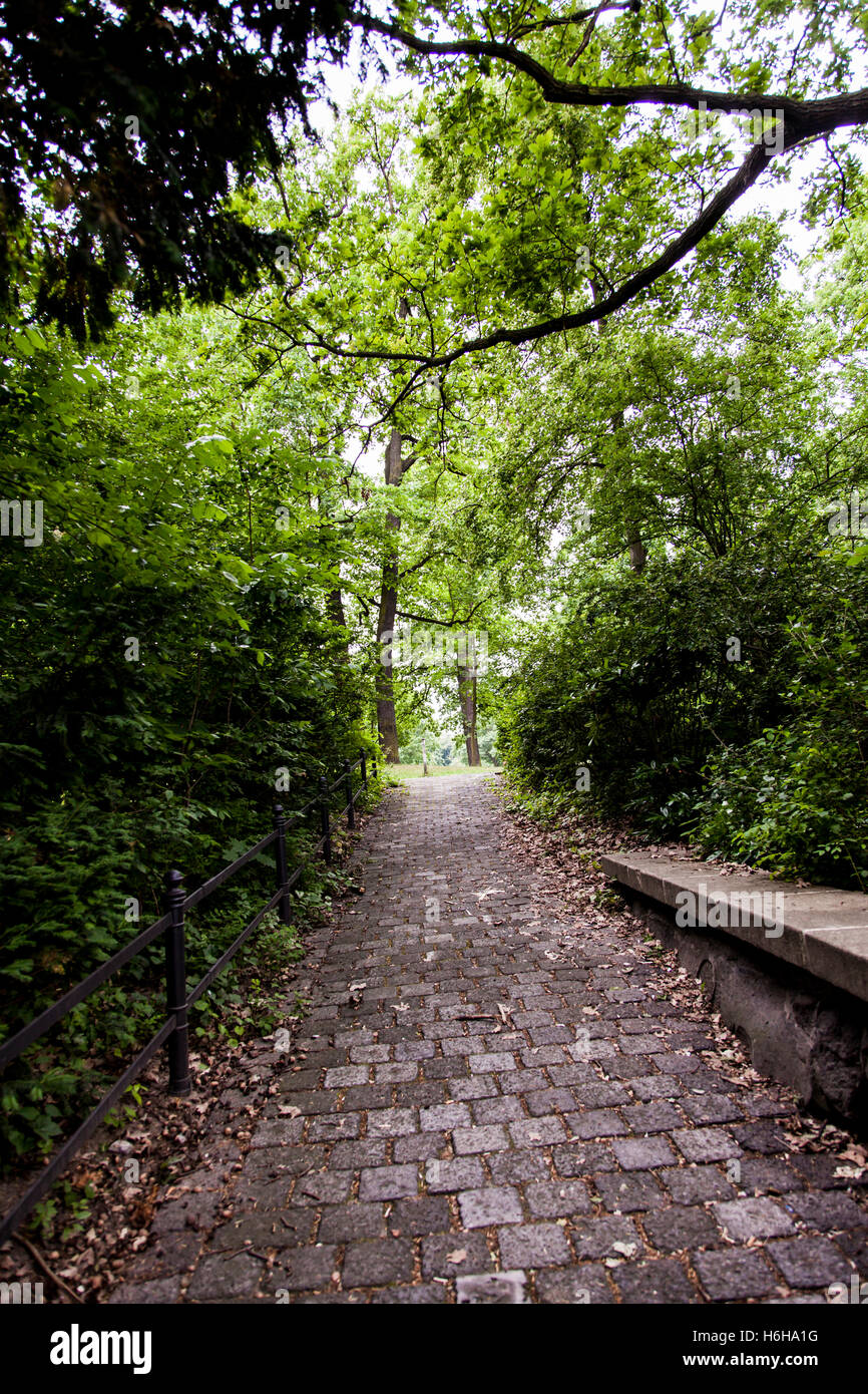 Trees and paths in a green park on an inclement day Stock Photo - Alamy