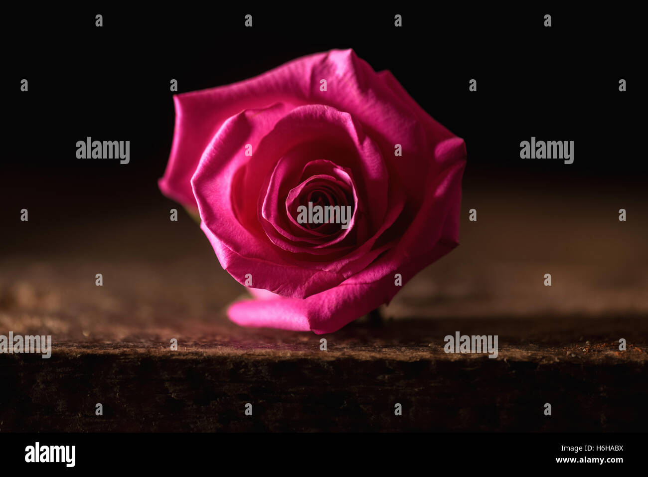 Subdued color hi-res stock photography and images - Alamy