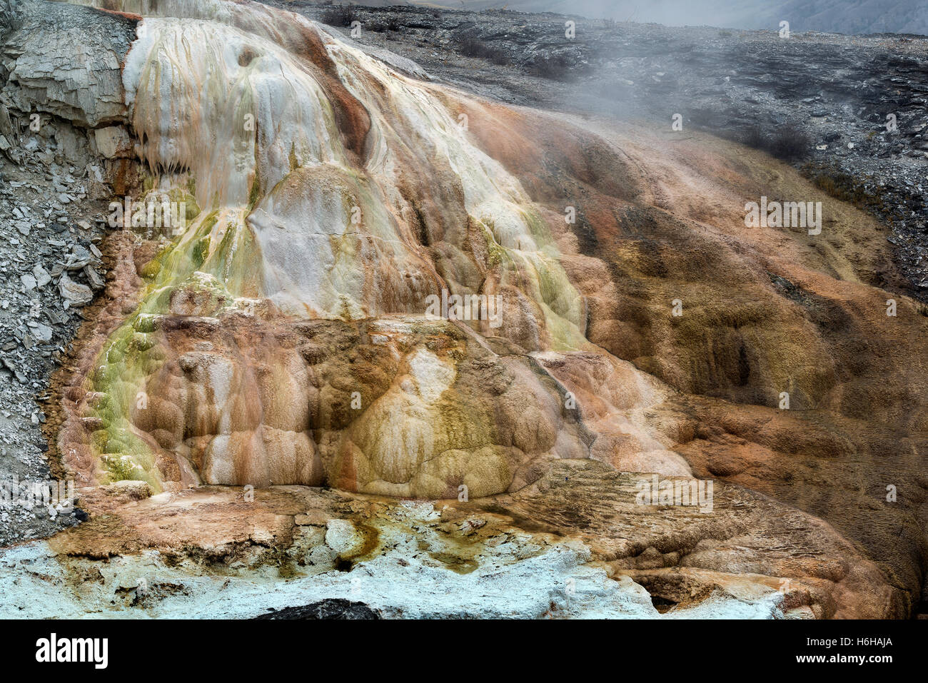 USA, Yellowstone NP, Wyoming, Mammoth Hot Springs Stock Photo - Alamy