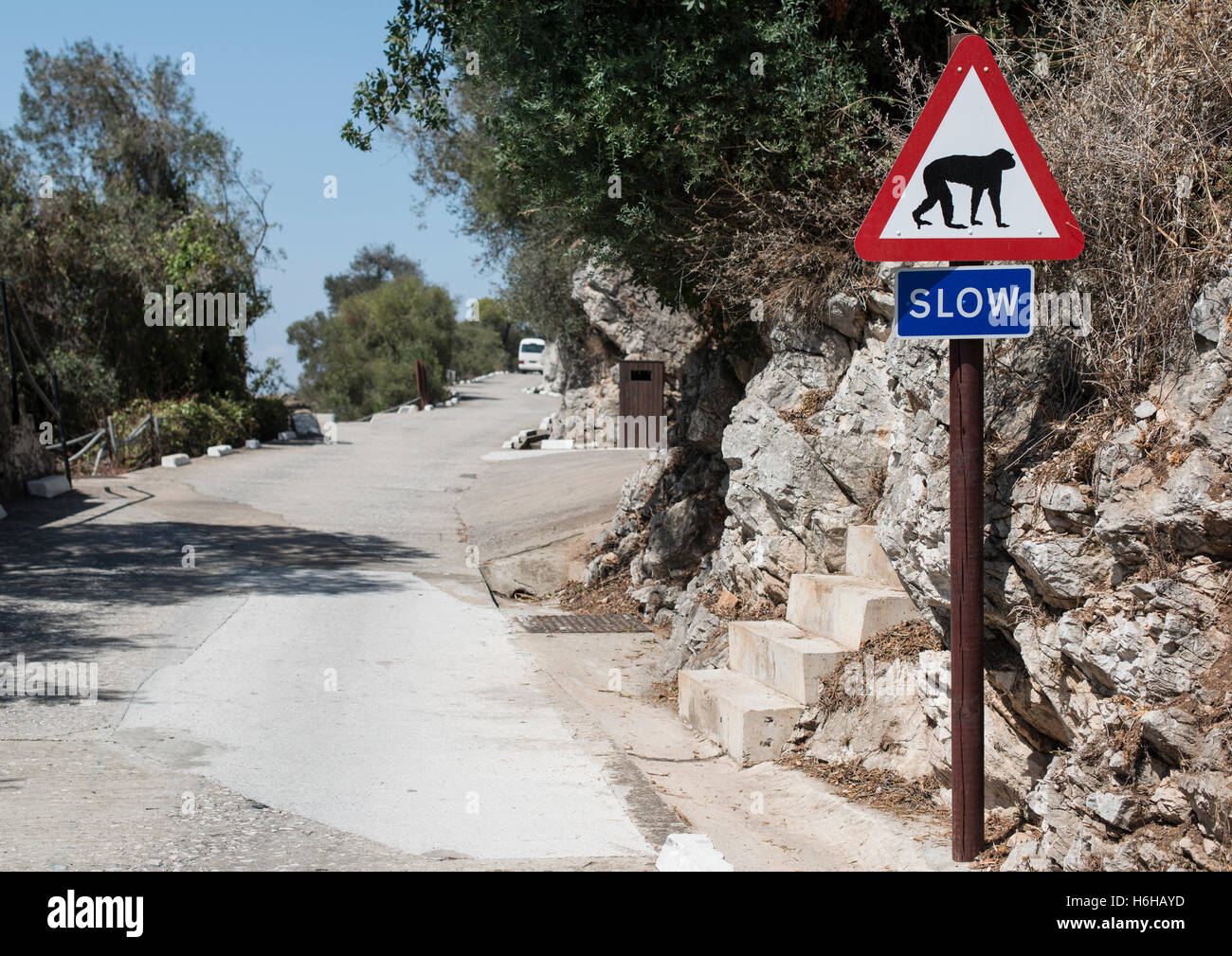 Sign monkey on the road Stock Photo - Alamy