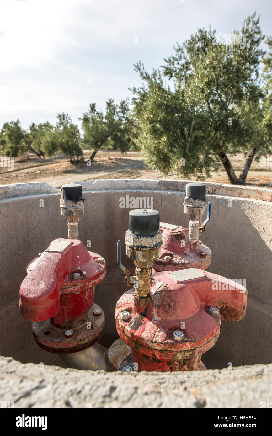 Olive tree irrigation hi-res stock photography and images - Alamy