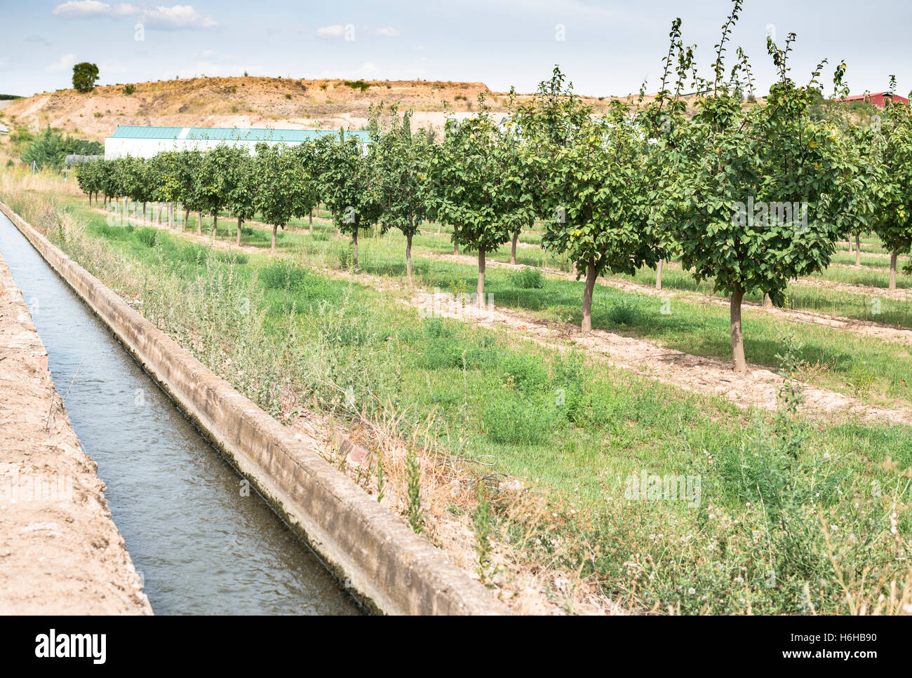 Irrigation canal in agriculture hi-res stock photography and images - Alamy