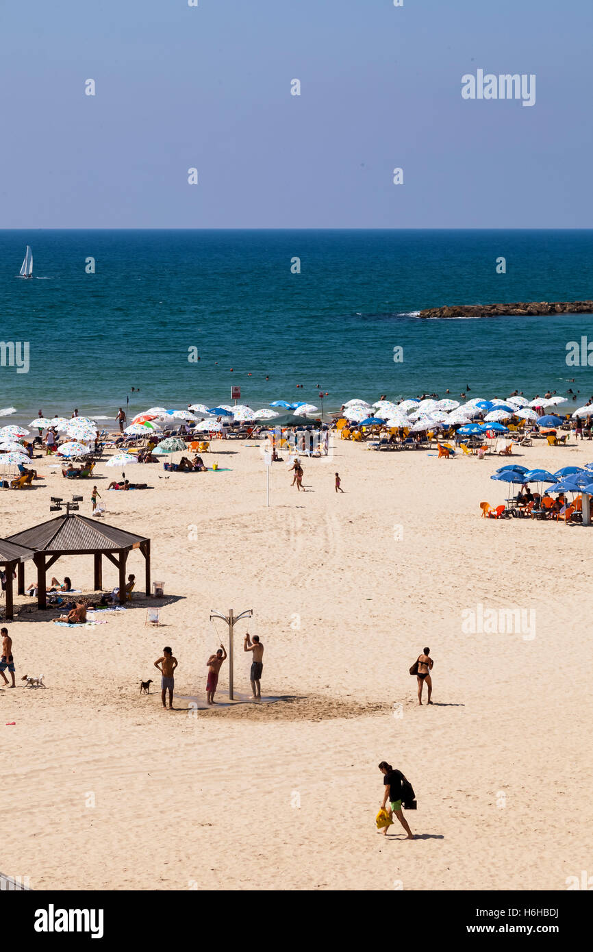 TEL AVIV, ISRAEL - August 18: View at the busy beach on a hot August 18 ...