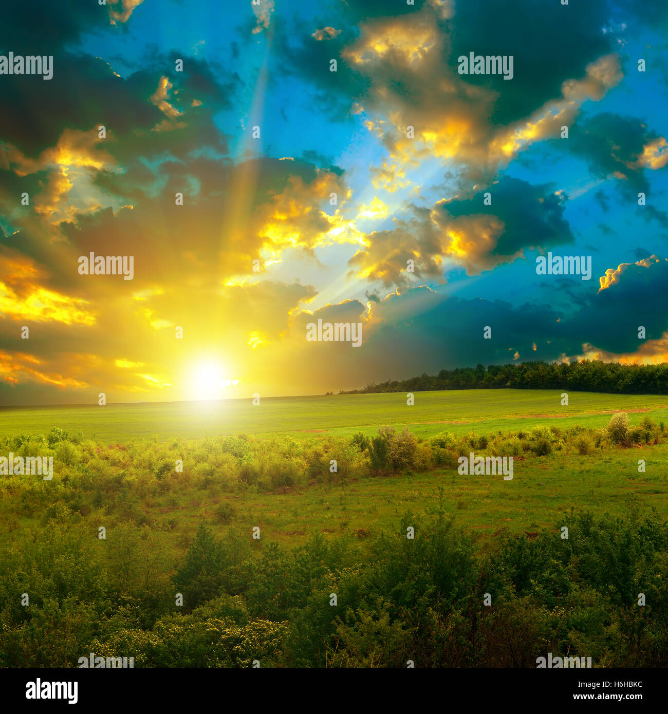 Bright sunset on spring field Stock Photo - Alamy