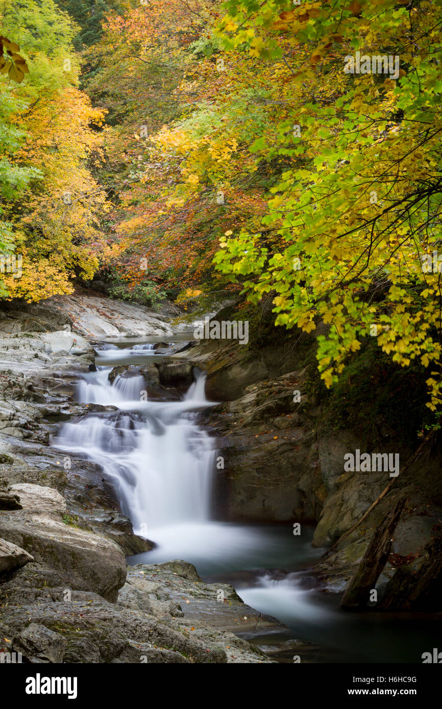Irati river landscape hi-res stock photography and images - Alamy