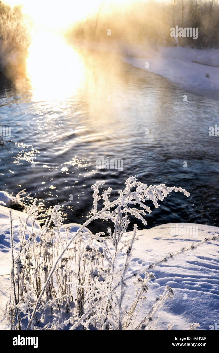 Winter sunny landscape with river and forest Stock Photo - Alamy