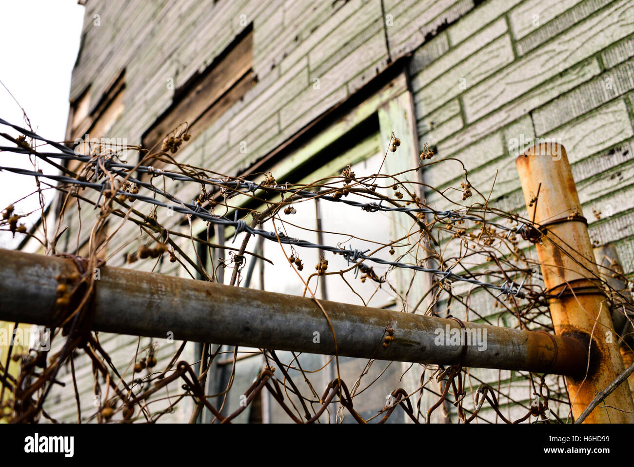 barbed wire fencing, abandoned home with barbed wire Stock Photo - Alamy