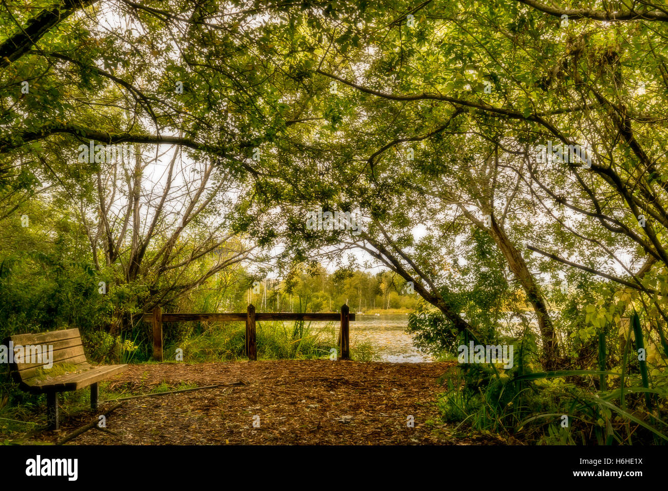 Seattle washington park arboretum hi-res stock photography and images ...