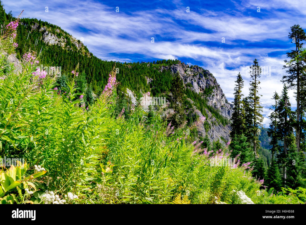Seattle washington snow hi-res stock photography and images - Alamy