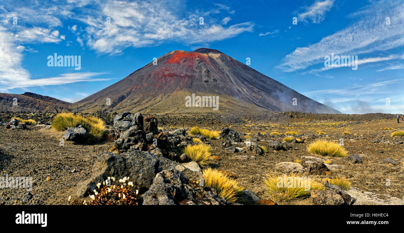 Volcanic landscape with the volcano Mt Ngauruhoe, Tongariro Alpine ...
