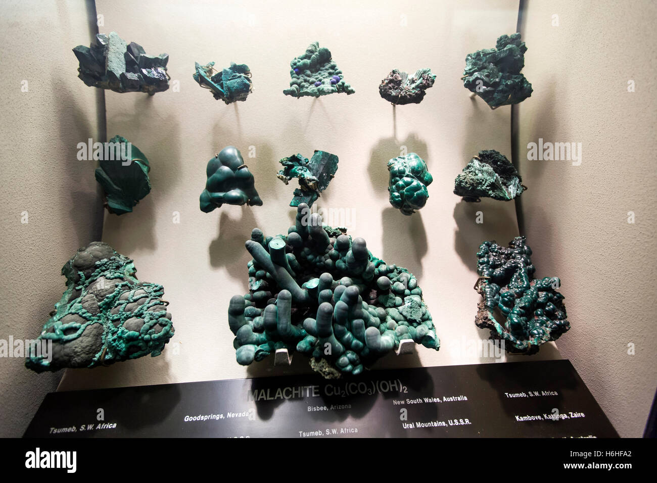 New-York, USA - NOV 19: The Malachite section of the mineralogy display ...