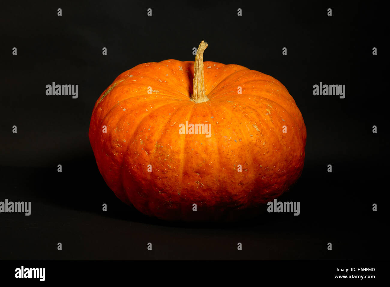 big orange pumpkin Stock Photo - Alamy