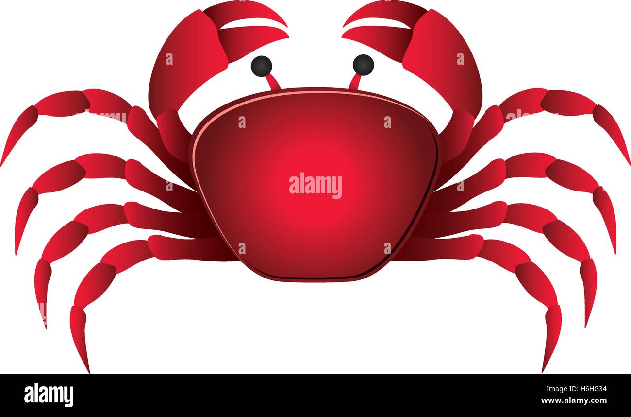 Single crab Stock Vector Images - Alamy