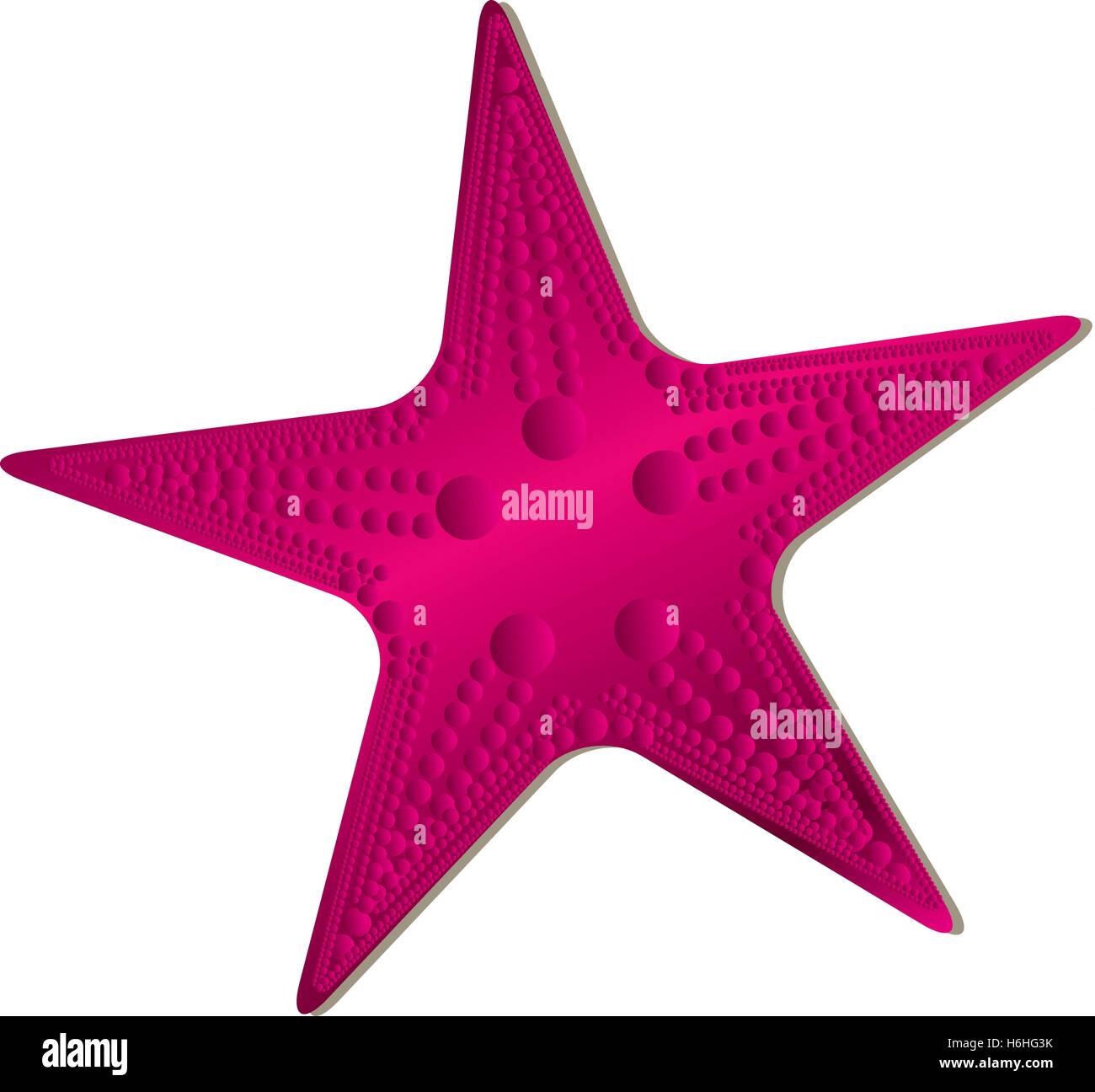star fish icon image vector illustration design Stock Vector Image ...