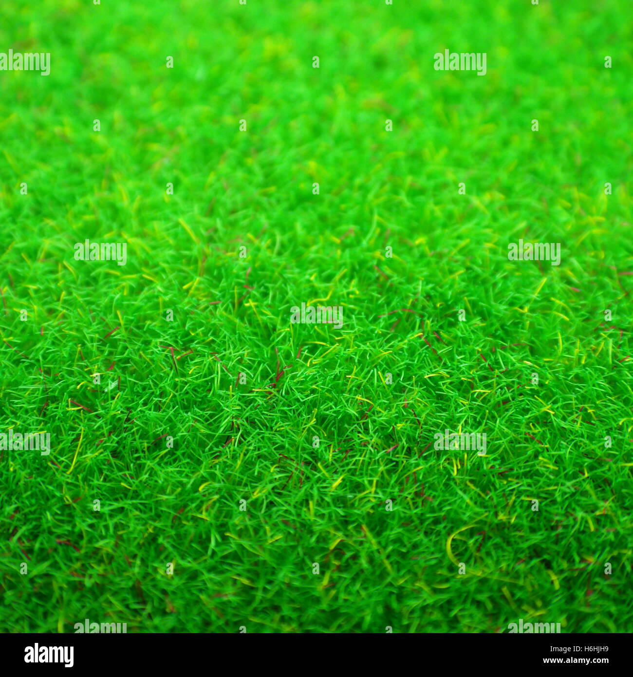 Green grass background texture , Outdoor textured empty pattern Stock ...