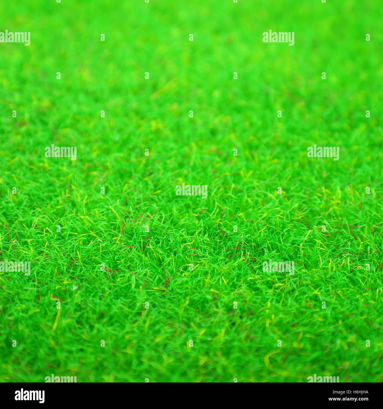 Green grass background texture , Outdoor textured empty pattern Stock ...