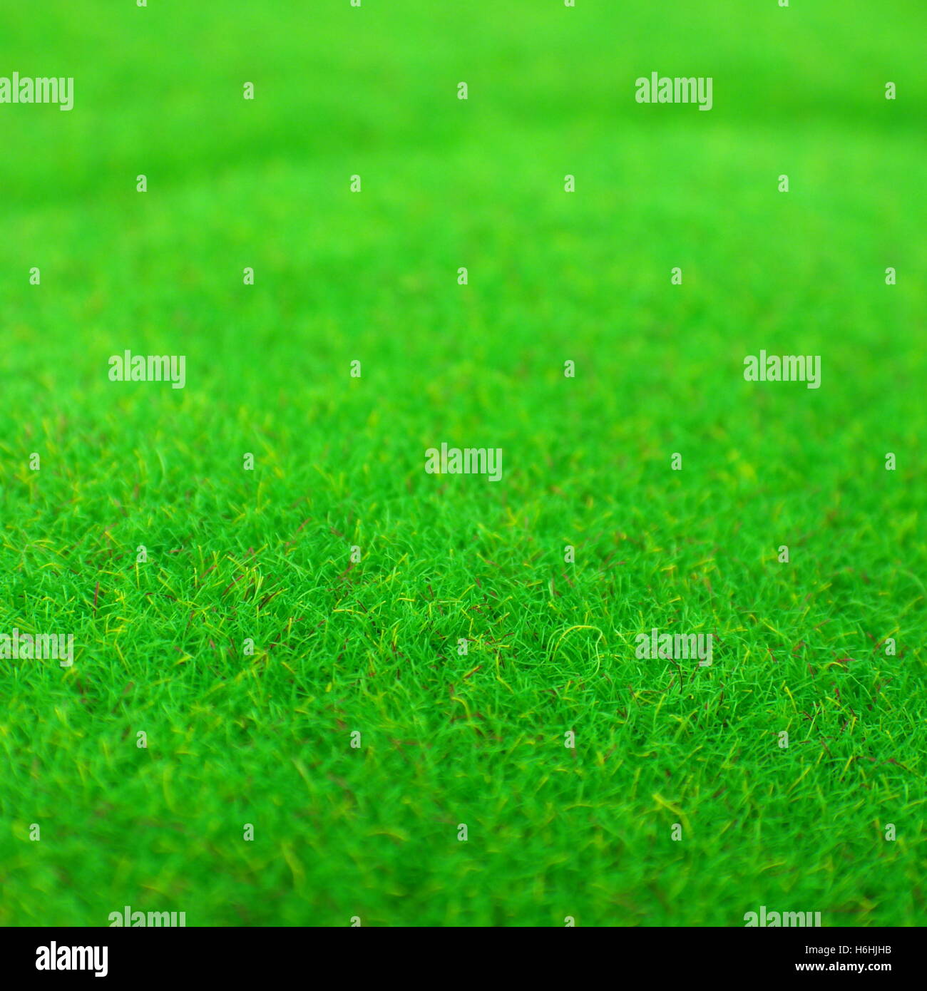 Green grass background texture , Outdoor textured empty pattern Stock ...