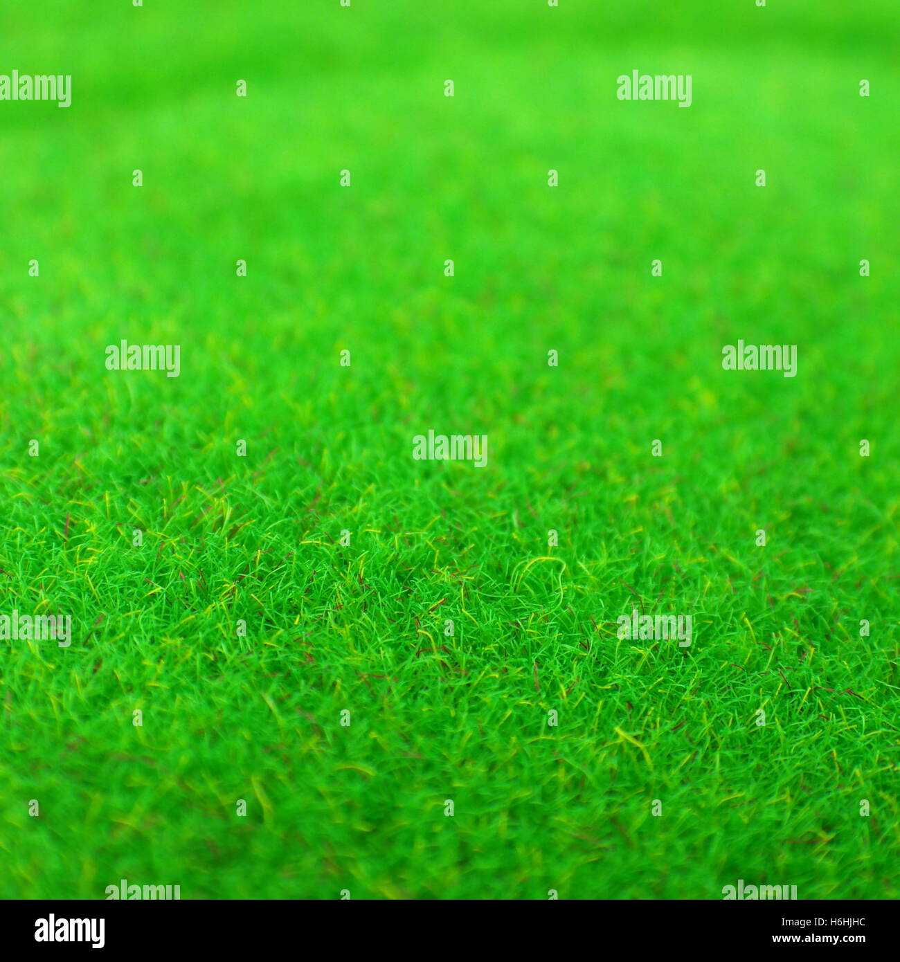 Green grass background texture , Outdoor textured empty pattern Stock ...