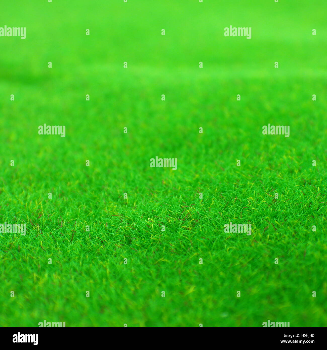 Green grass background texture , Outdoor textured empty pattern Stock ...