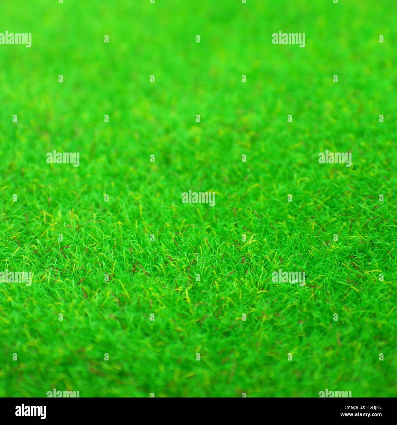 Green grass background texture , Outdoor textured empty pattern Stock ...