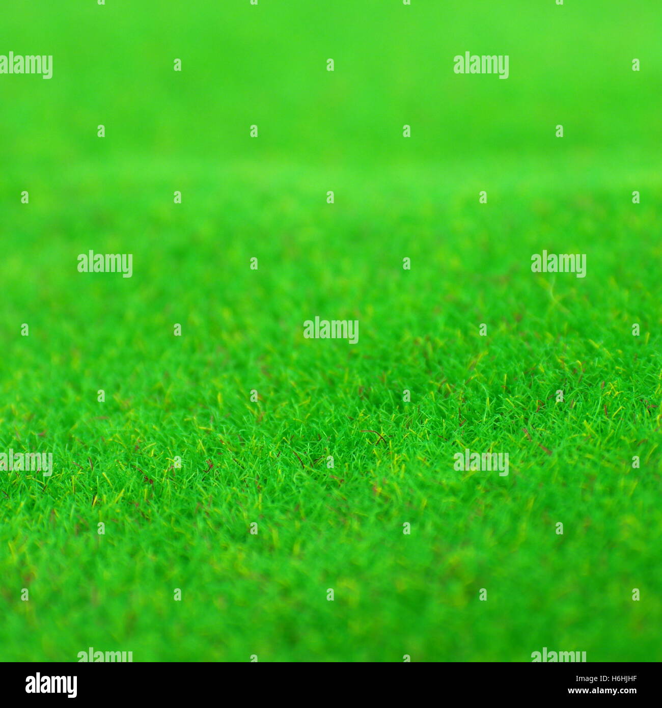 Green grass background texture , Outdoor textured empty pattern Stock ...