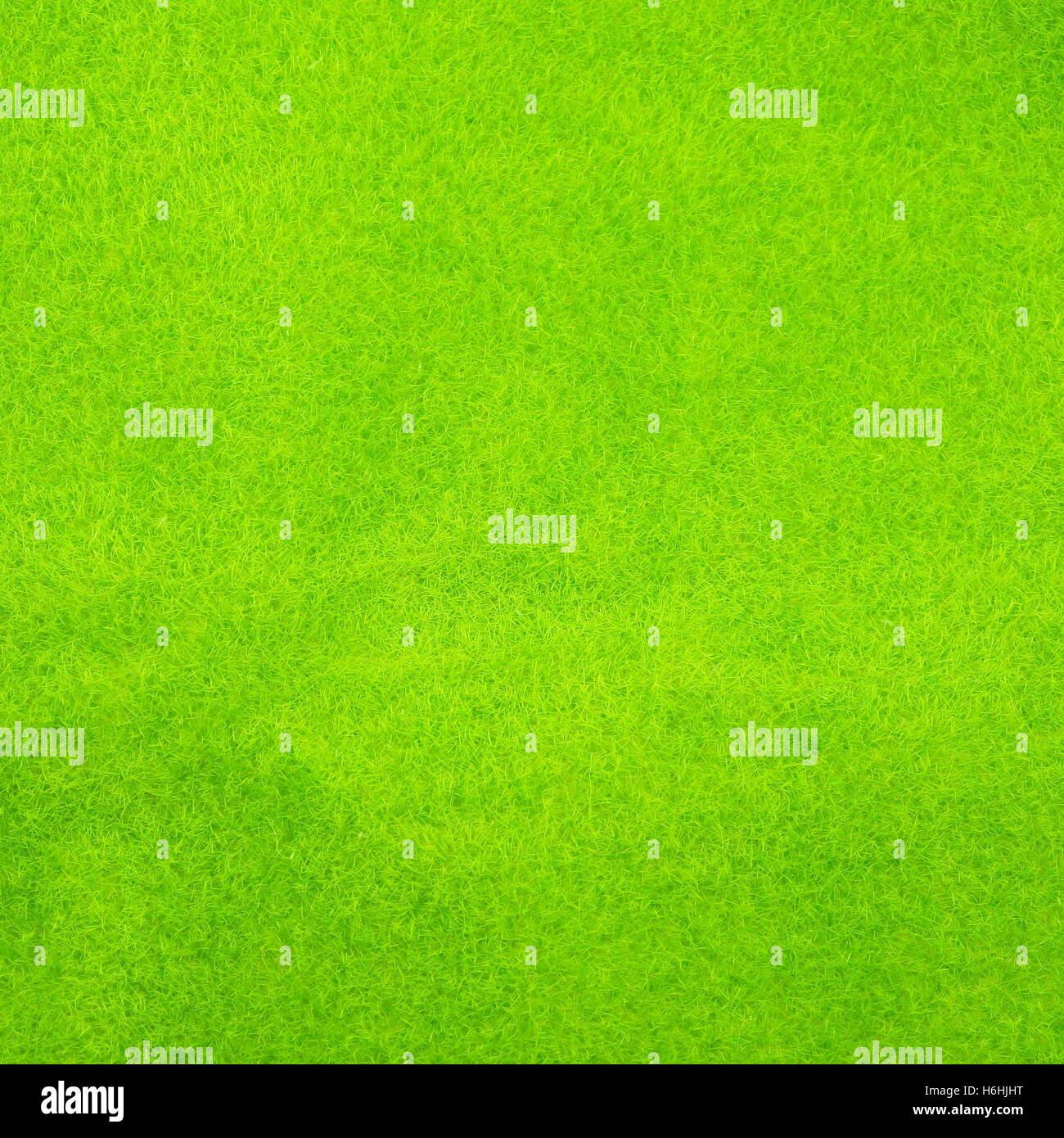 Green grass background texture , Outdoor textured empty pattern Stock ...
