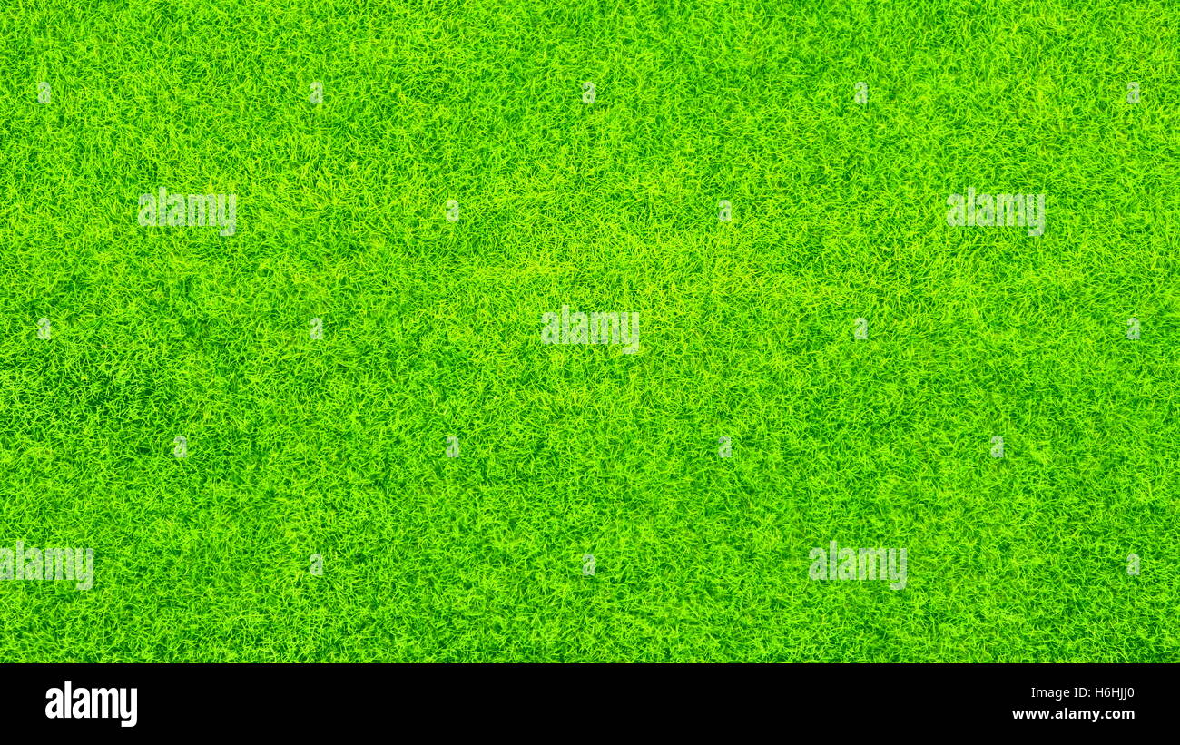 Green grass background texture , Outdoor textured empty pattern Stock ...