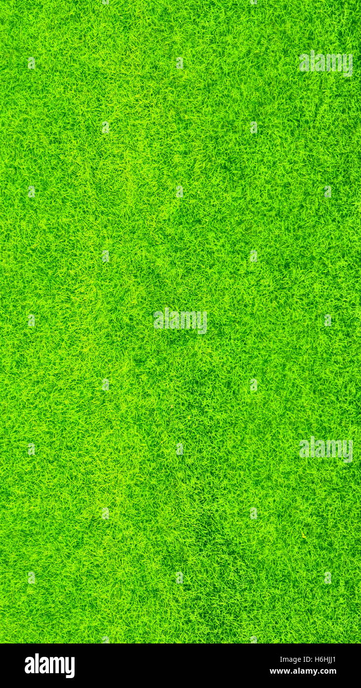 Green grass background texture , Outdoor textured empty pattern Stock ...