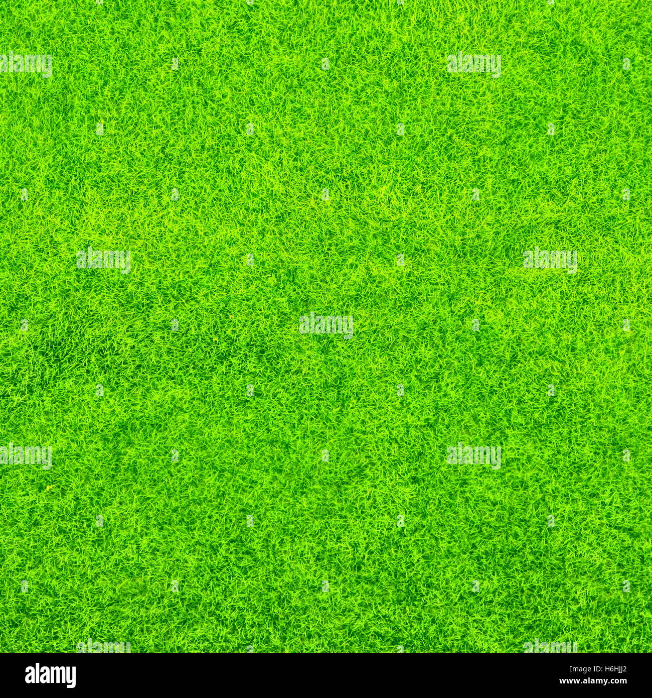 Green grass background texture , Outdoor textured empty pattern Stock ...