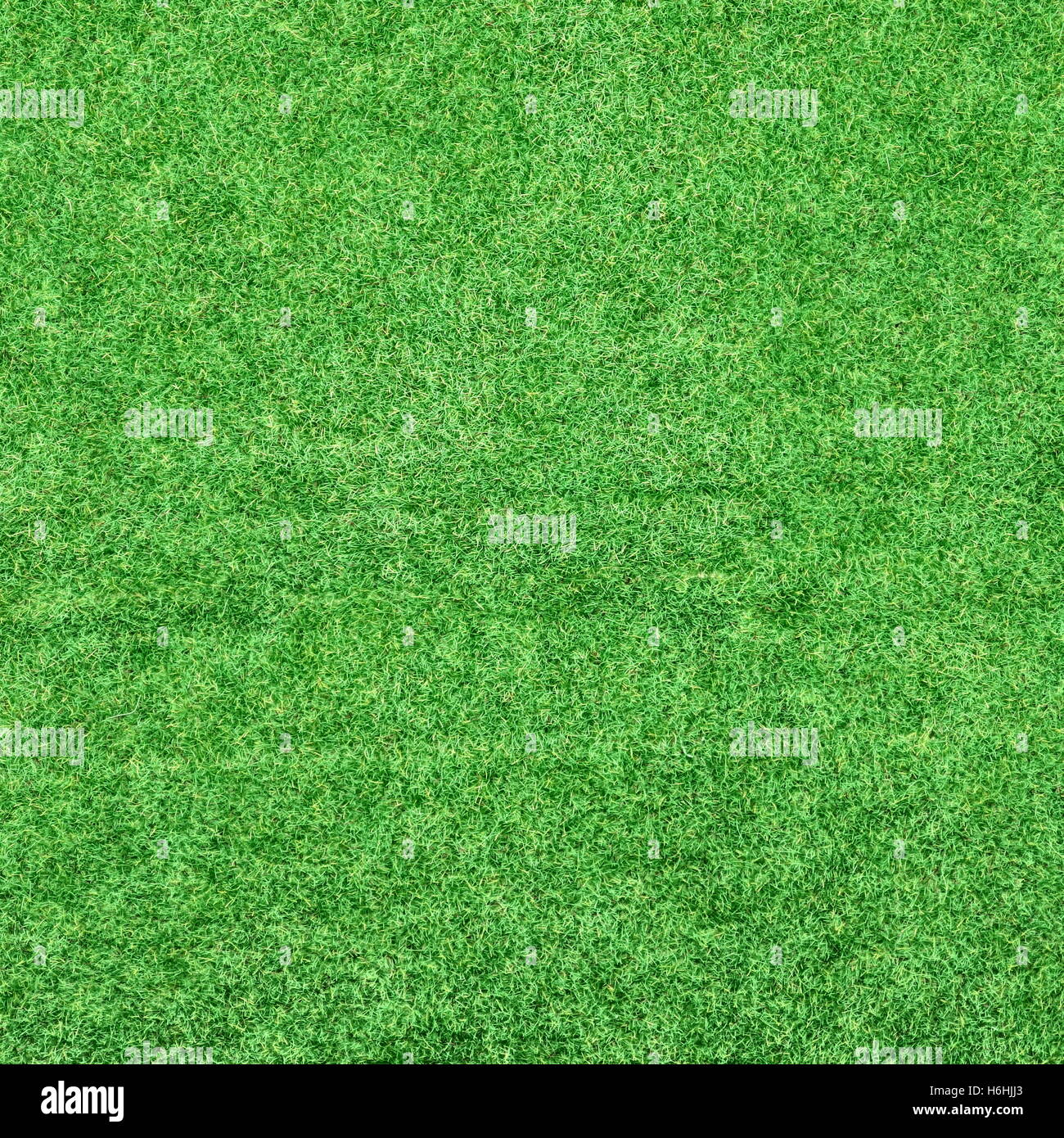 Green grass background texture , Outdoor textured empty pattern Stock ...
