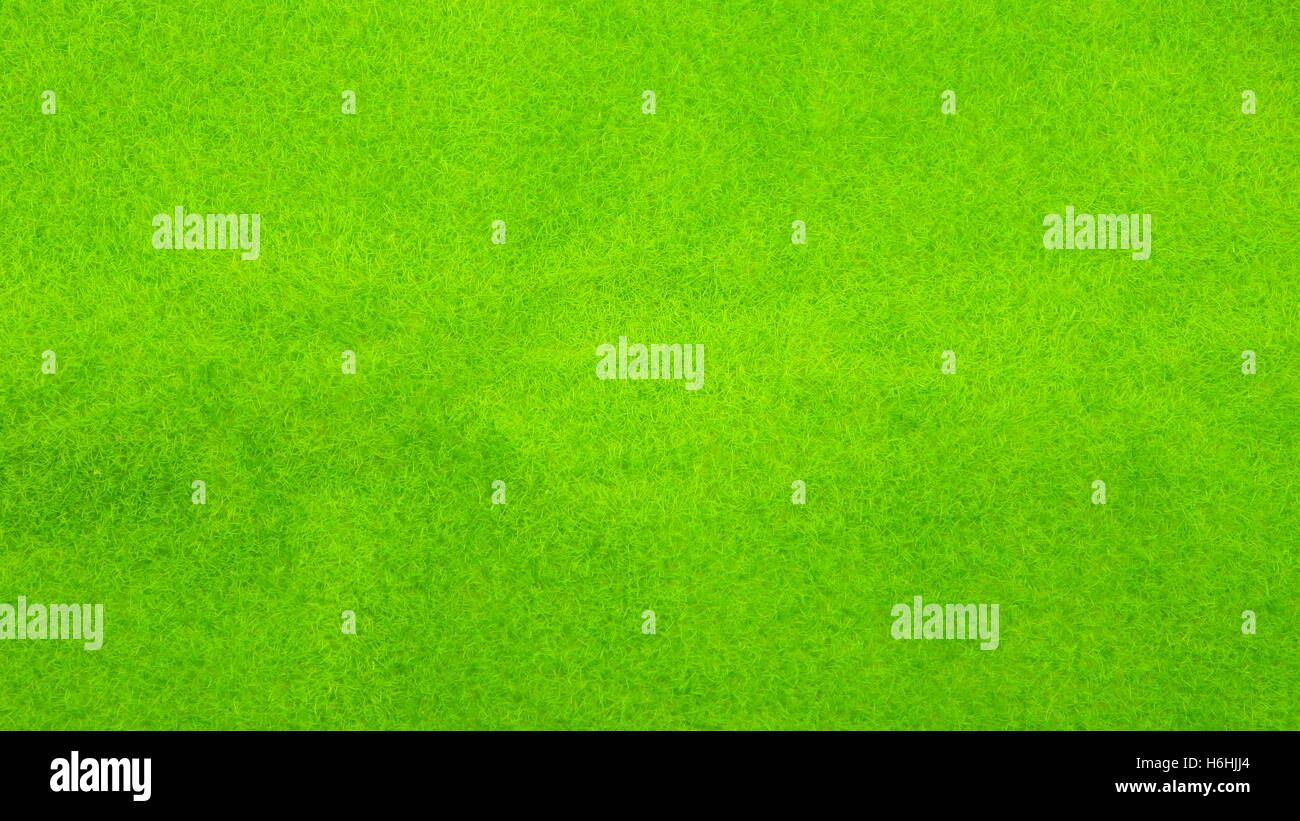 Green grass background texture , Outdoor textured empty pattern Stock ...