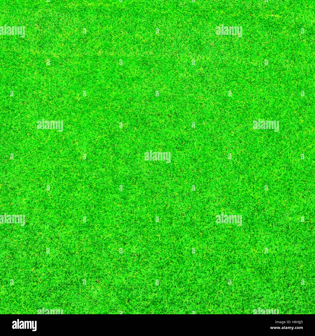 Green grass background texture , Outdoor textured empty pattern Stock ...