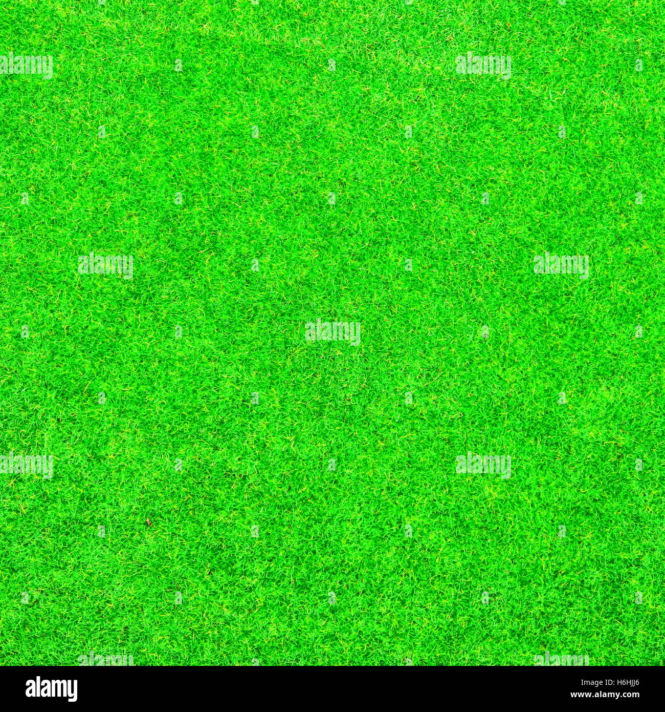 Green grass background texture , Outdoor textured empty pattern Stock ...