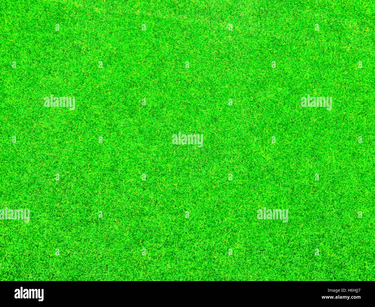 Green grass background texture , Outdoor textured empty pattern Stock ...
