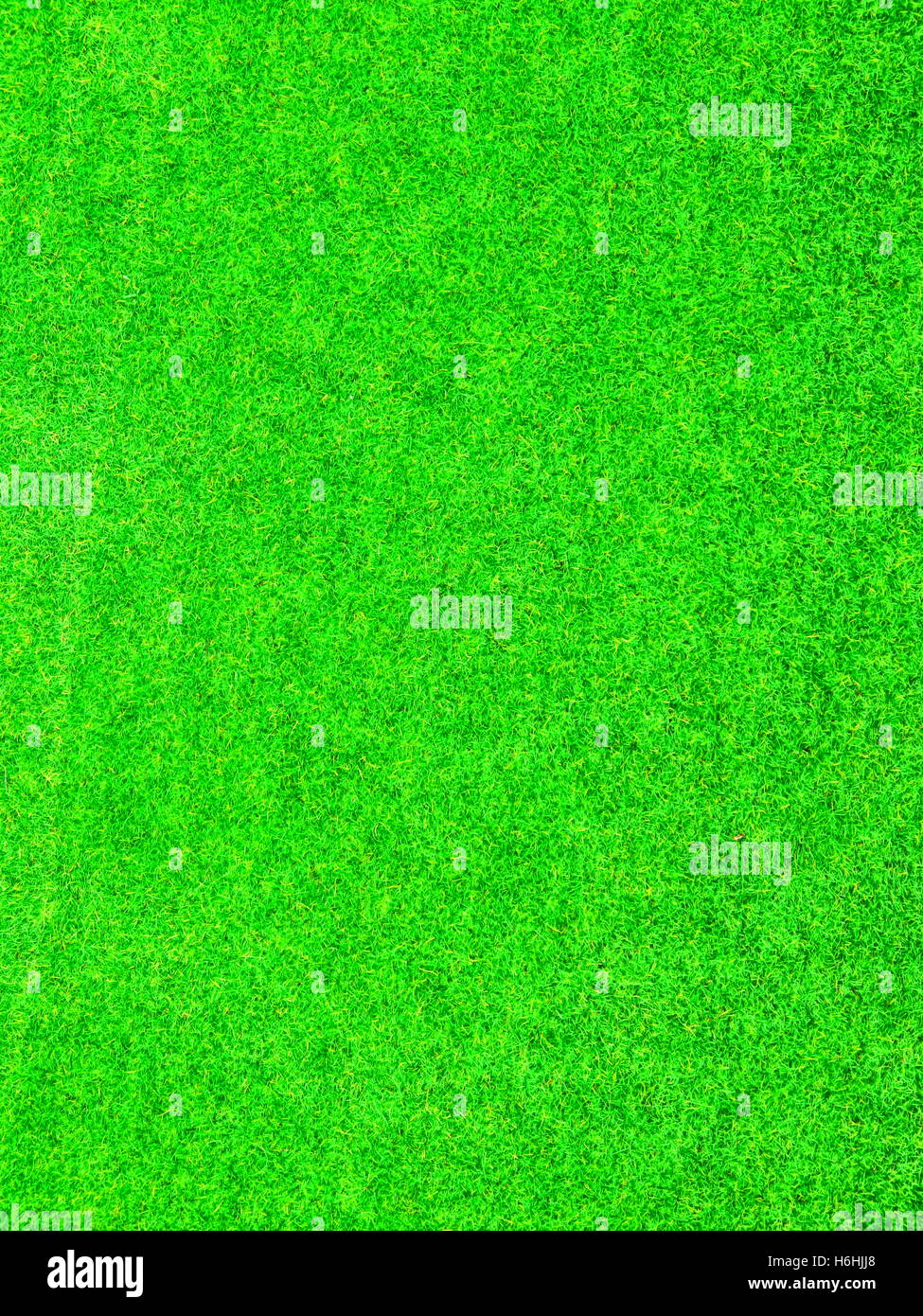 Green grass background texture , Outdoor textured empty pattern Stock ...