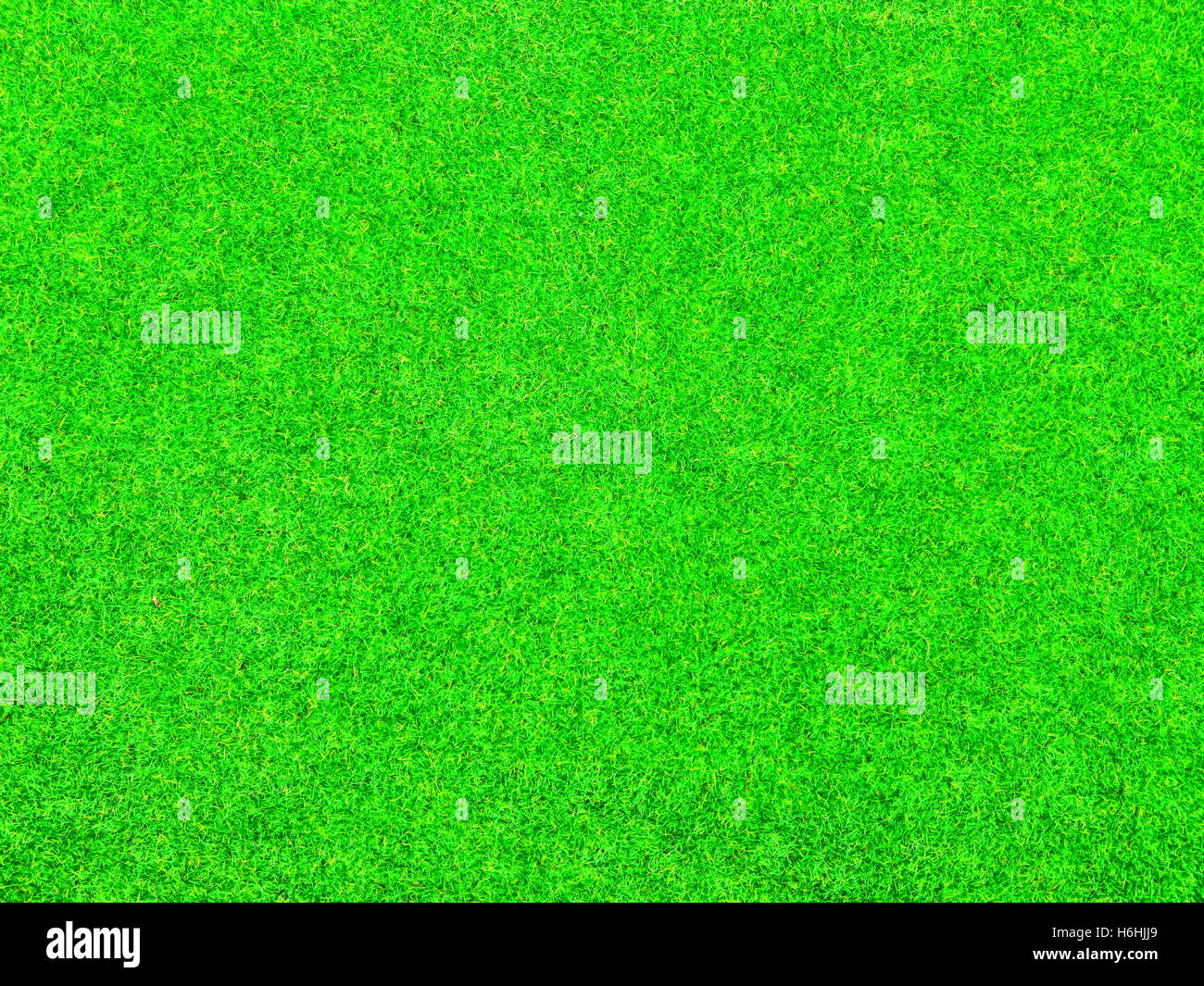Green grass background texture , Outdoor textured empty pattern Stock ...