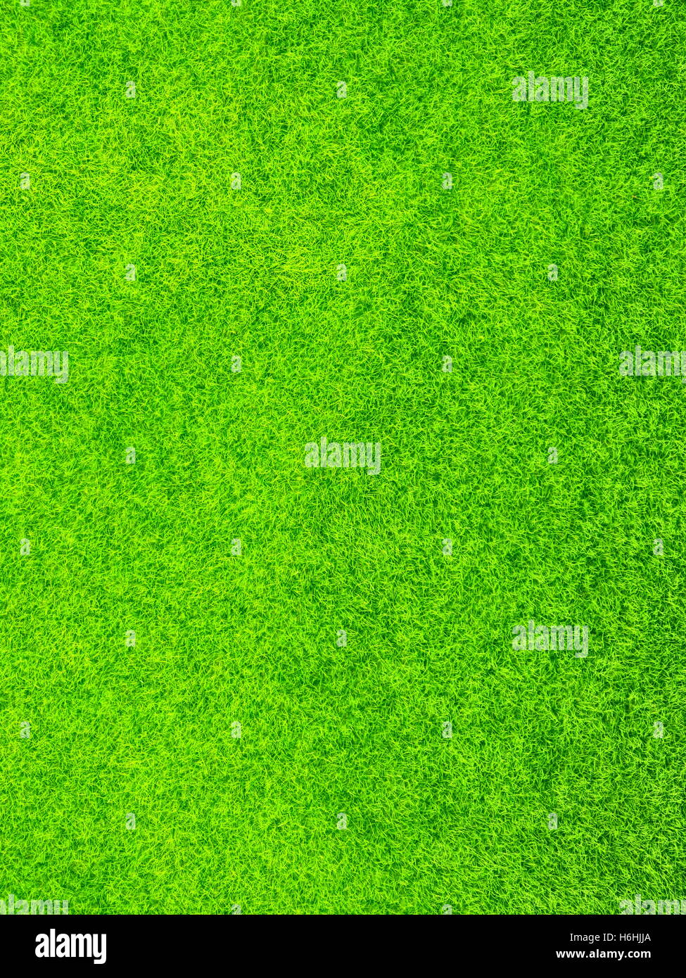 Green grass background texture , Outdoor textured empty pattern Stock ...