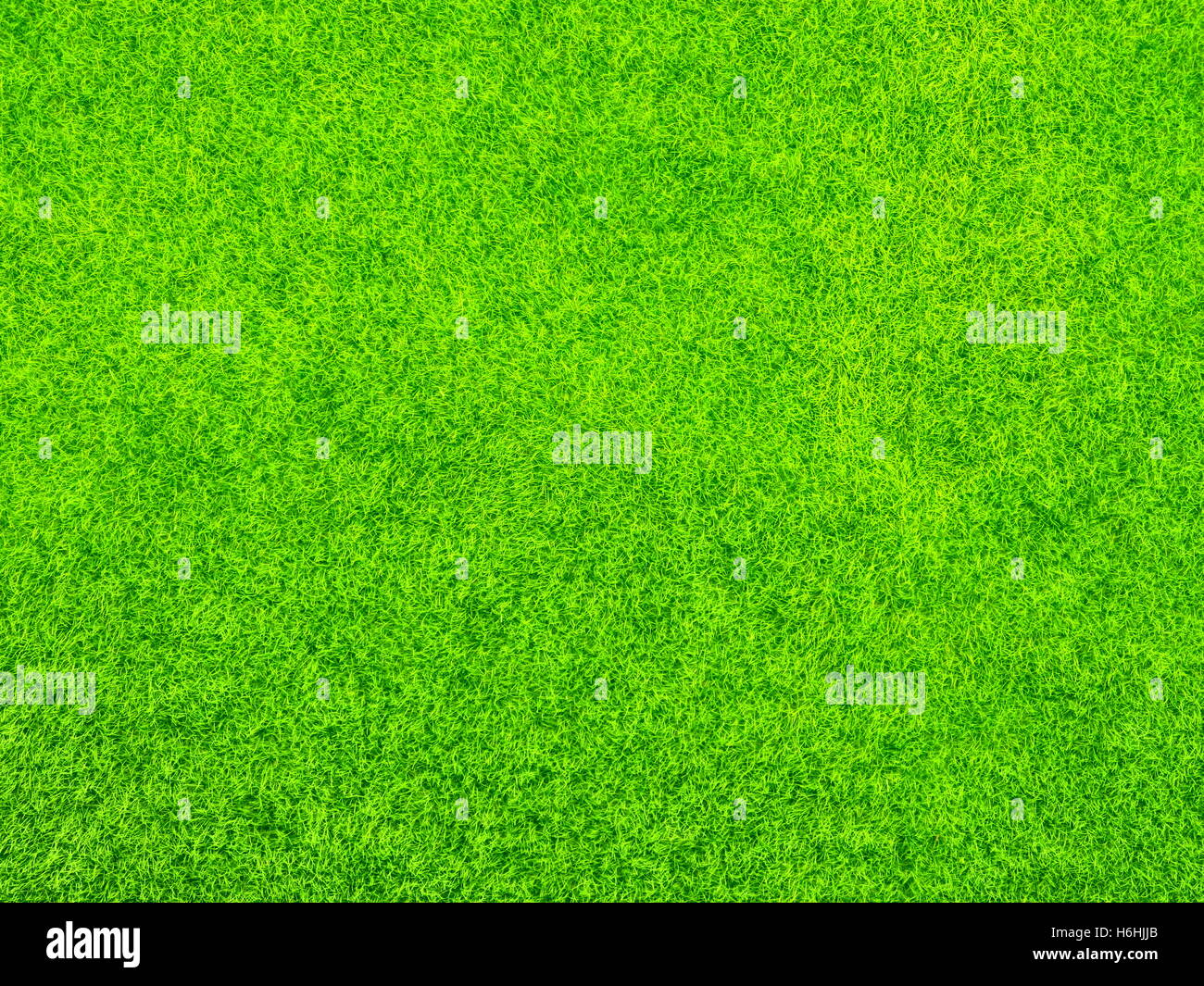 Green grass background texture , Outdoor textured empty pattern Stock ...